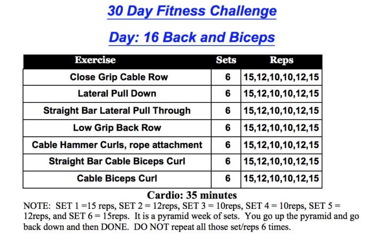 30 Day Fitness Challenge Day 16: Back and Biceps | Fitness Food Diva